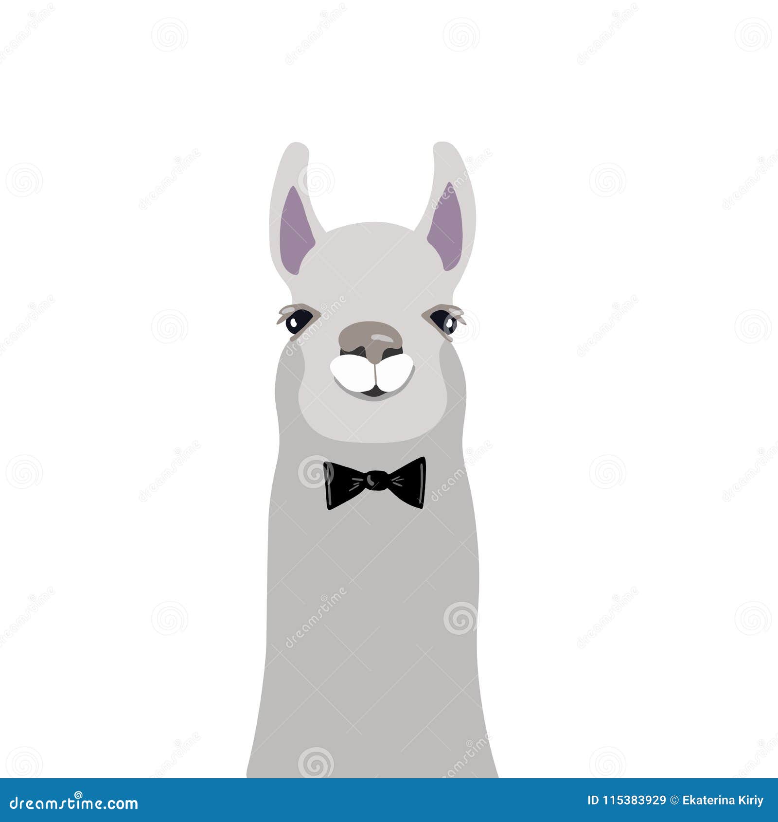 Vector Illustration of Lama Stock Vector - Illustration of animal ...