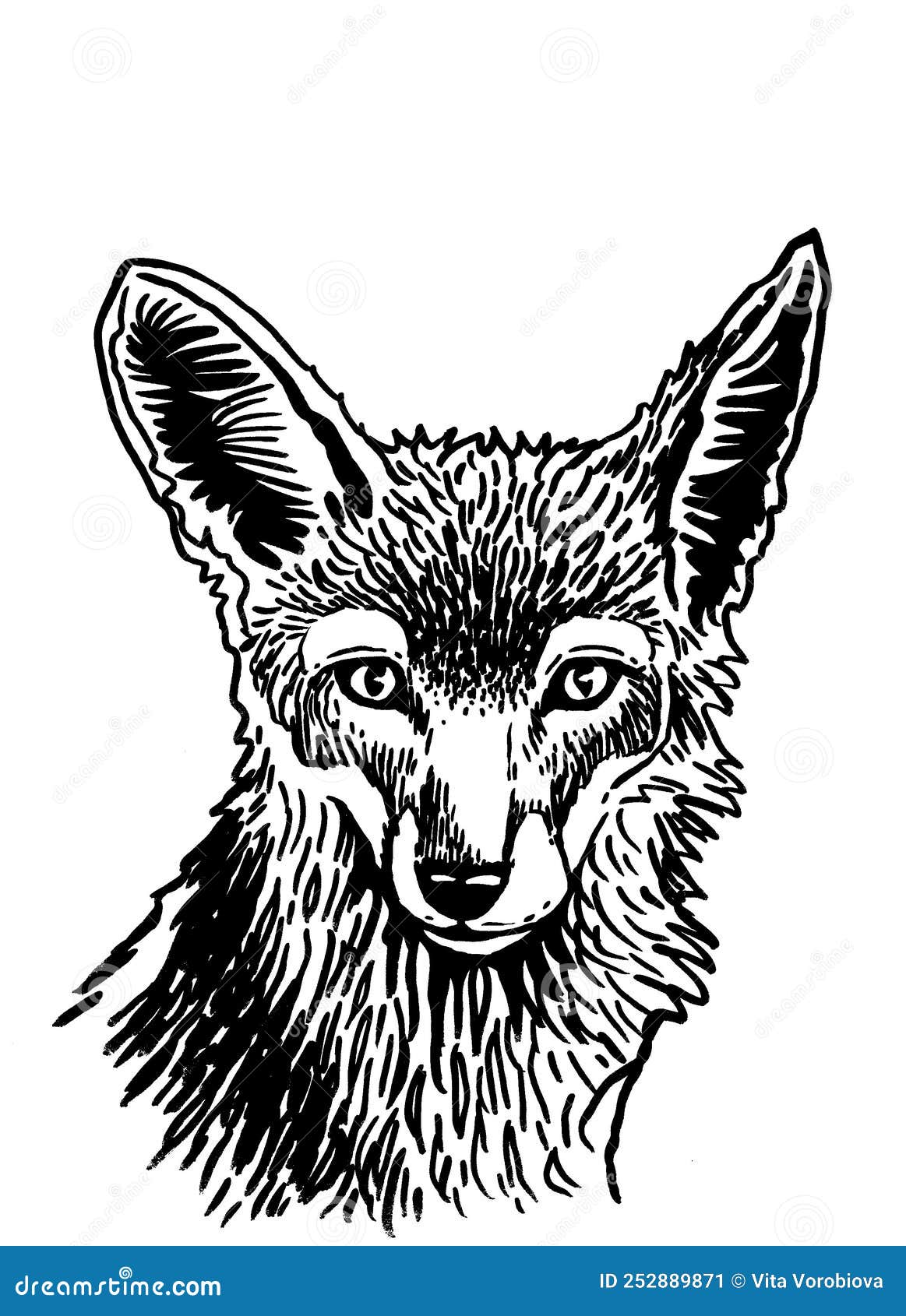 Vector Portrait of Sly Fox on White Isolated,graphical Drawing Stock ...
