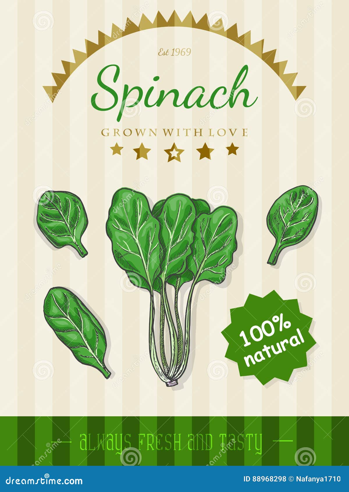 Vector Poster with a Spinach in a Sketch Style Stock Vector ...