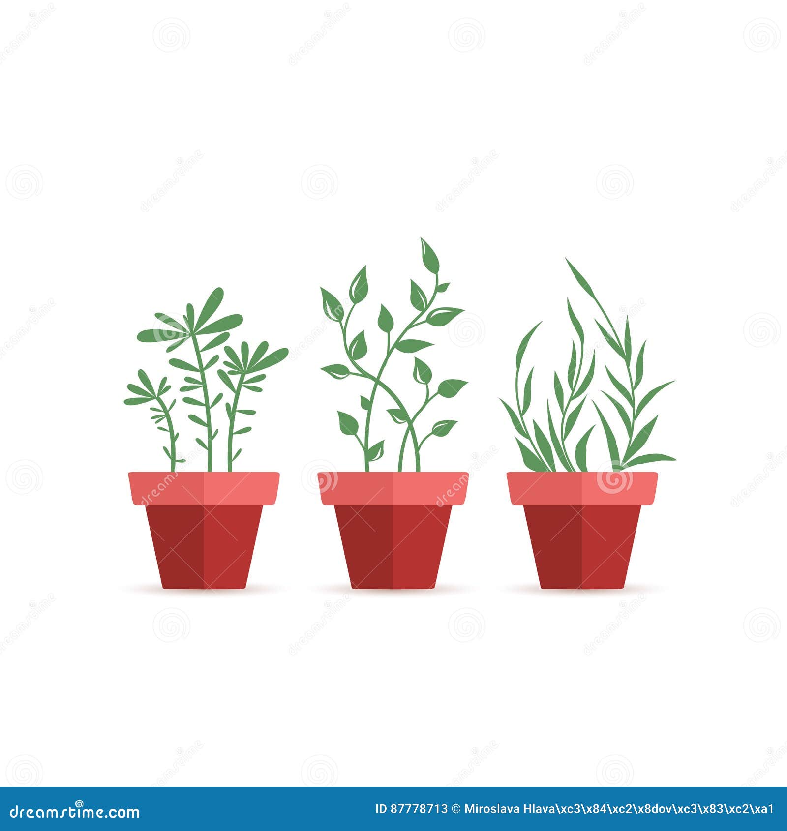 Vector potted plants stock vector. Illustration of flora - 87778713