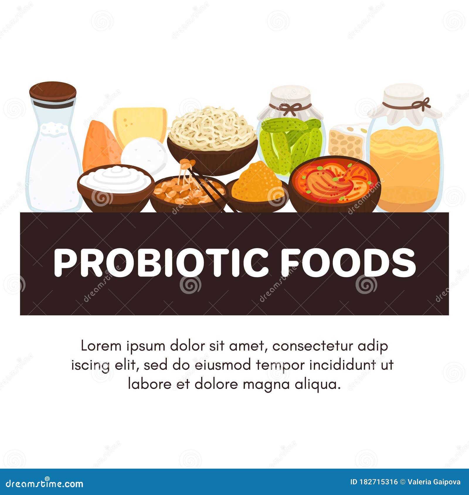 Vector Probiotic Foods Best Sources Of Probiotics Beneficial Bacteria