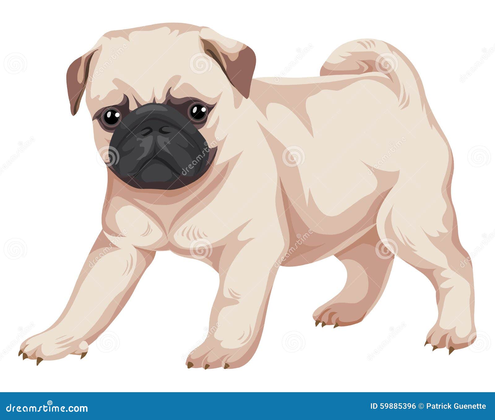 Vector of pug dog. stock vector. Illustration of companion - 59885396