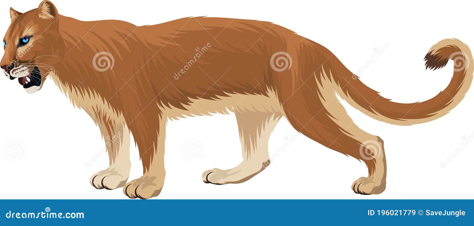 Puma Mountain Lion Crouching Cartoon Royalty-Free Stock Image ...