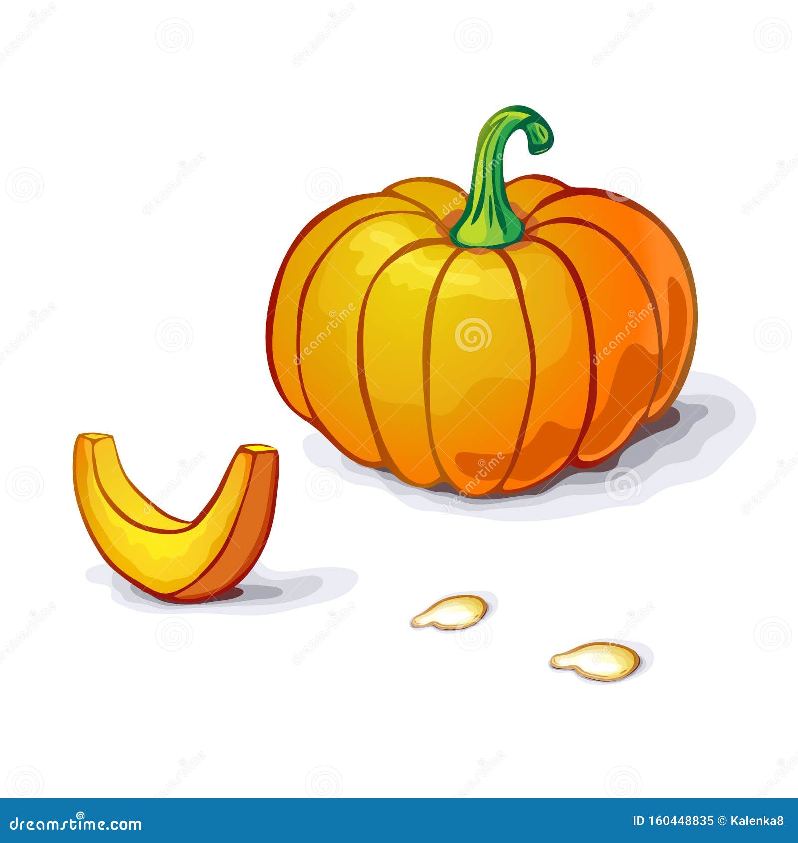 Vector Pumpkin or Squash Illustration with Slice and Seeds Isolated on ...