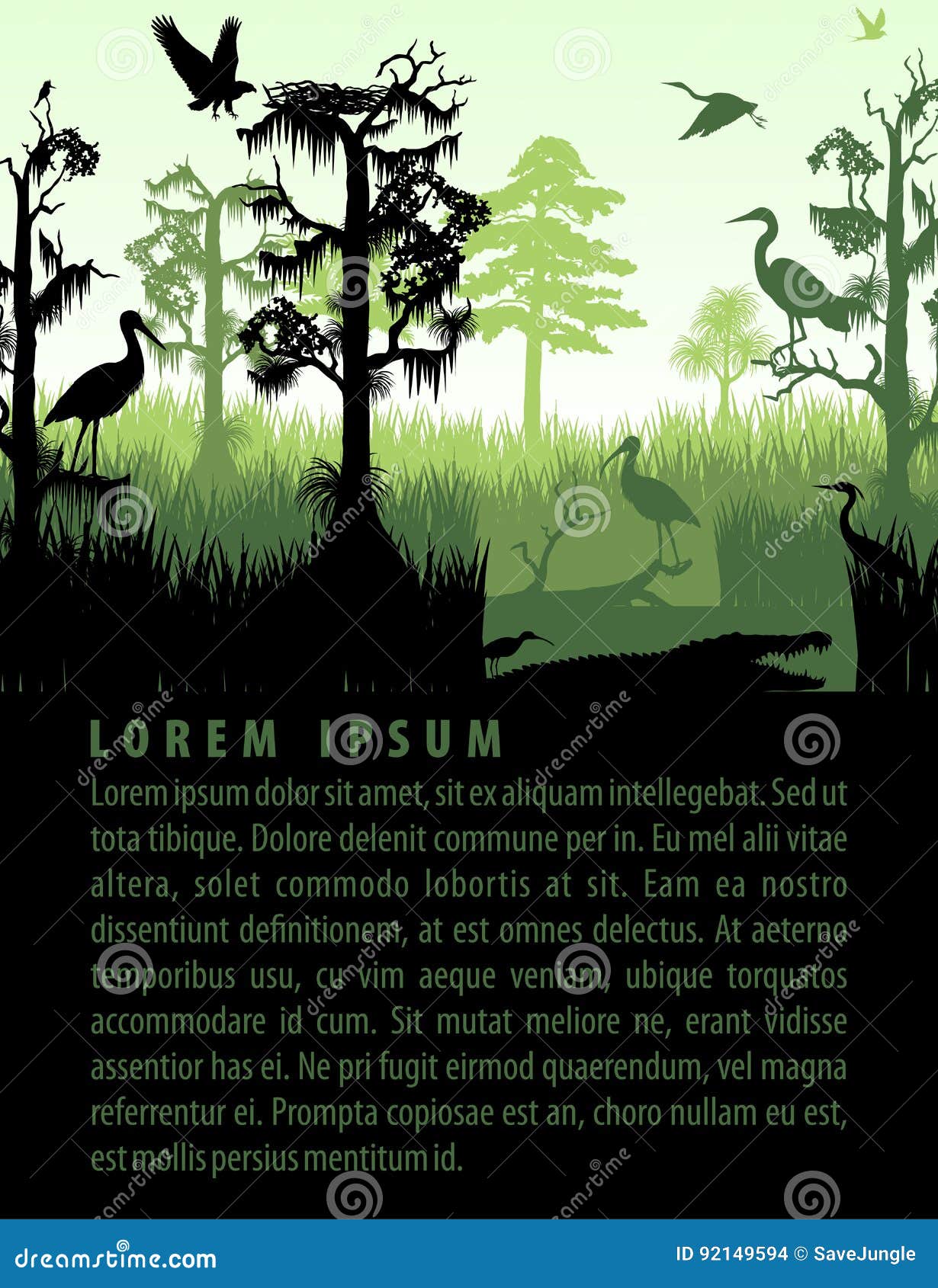 Set Of Vector Rainforest Wetland In Sunset Design Template With Animals ...