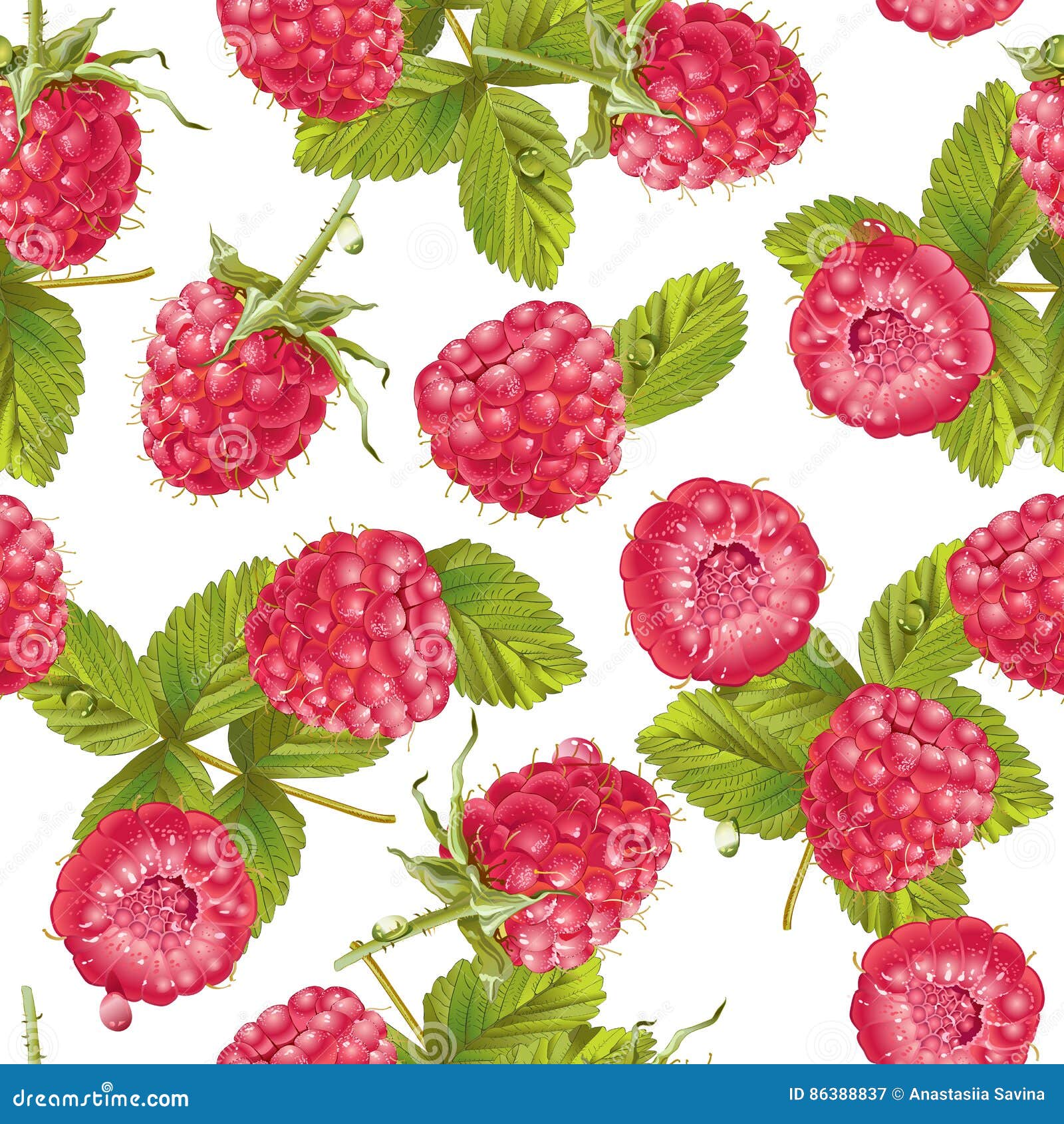 Vector Raspberry Fruit Texture Seamless Pattern | CartoonDealer.com ...