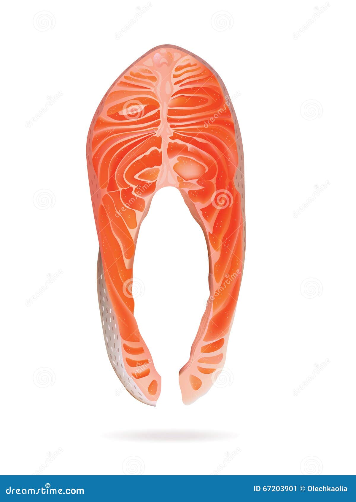 Vector Raw Salmon Fish Realistic Slice Illustration on White Background ...