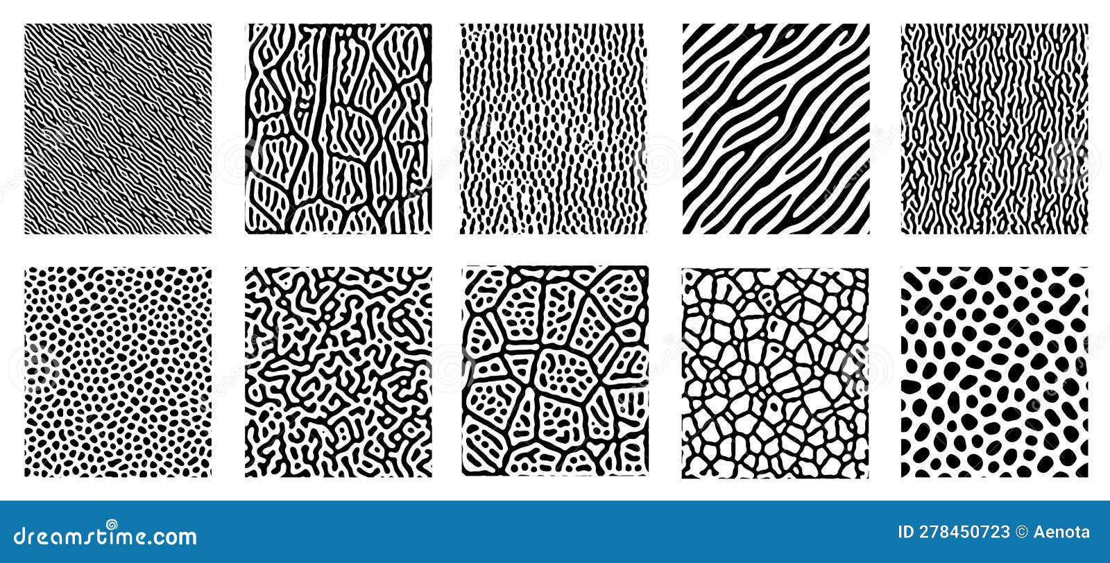 Vector Reaction-Diffusion Set - Mathematical Biology Turing Patterns Complex Biological Shapes ...