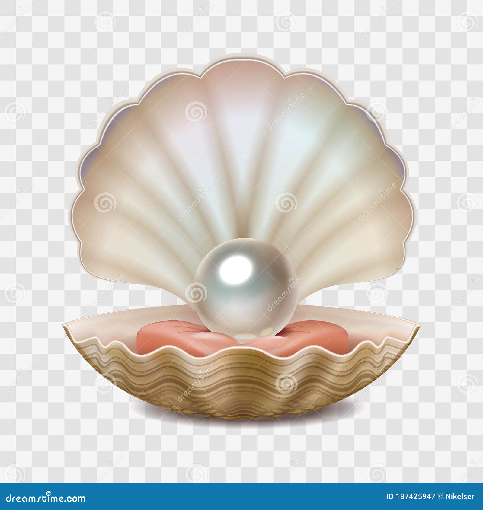 Vector Realistic Beautiful 3D Opened Shell With Shining Pearl Inside ...