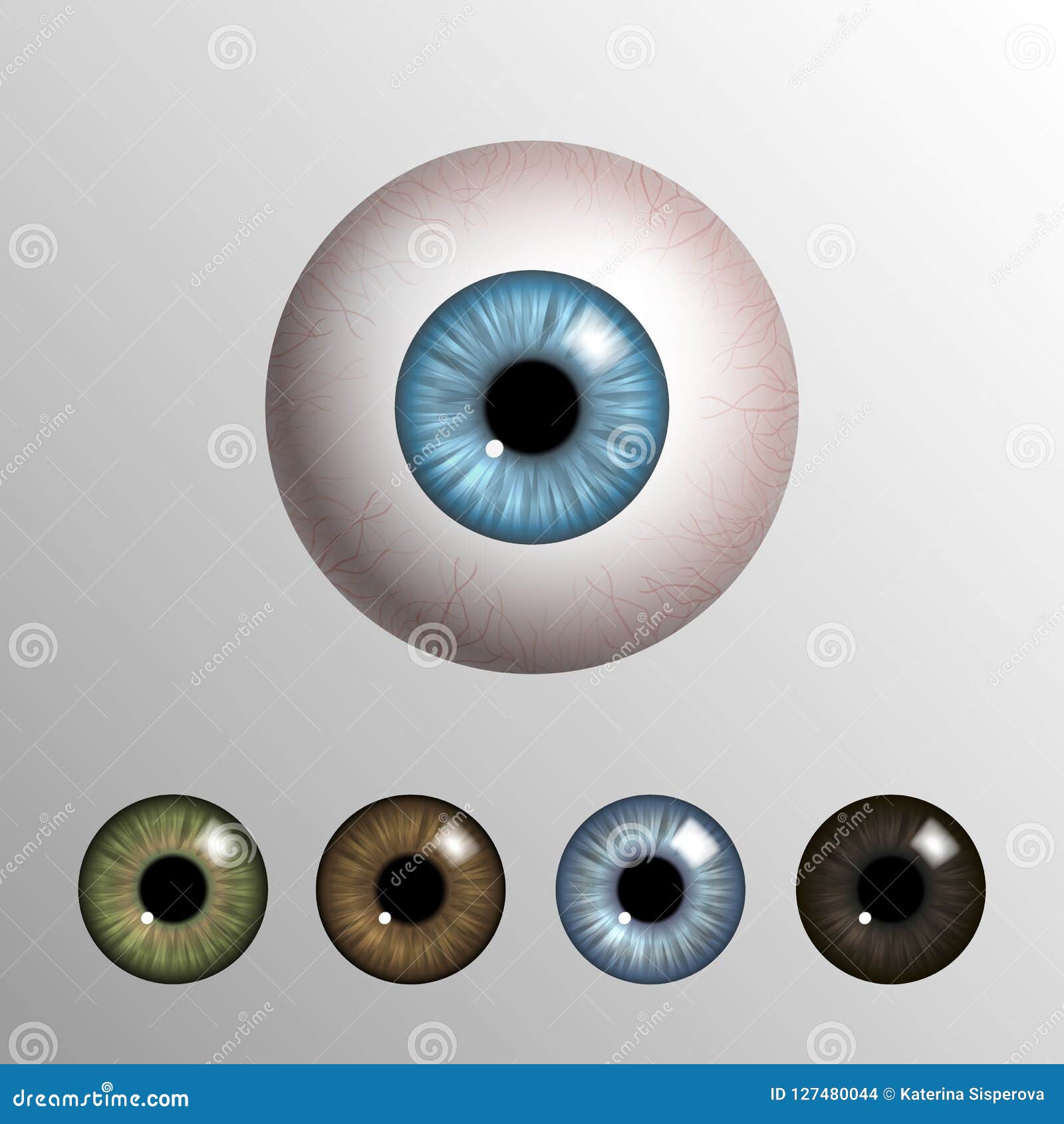 Colored Iris Stock Illustrations – 1,828 Colored Iris Stock ...