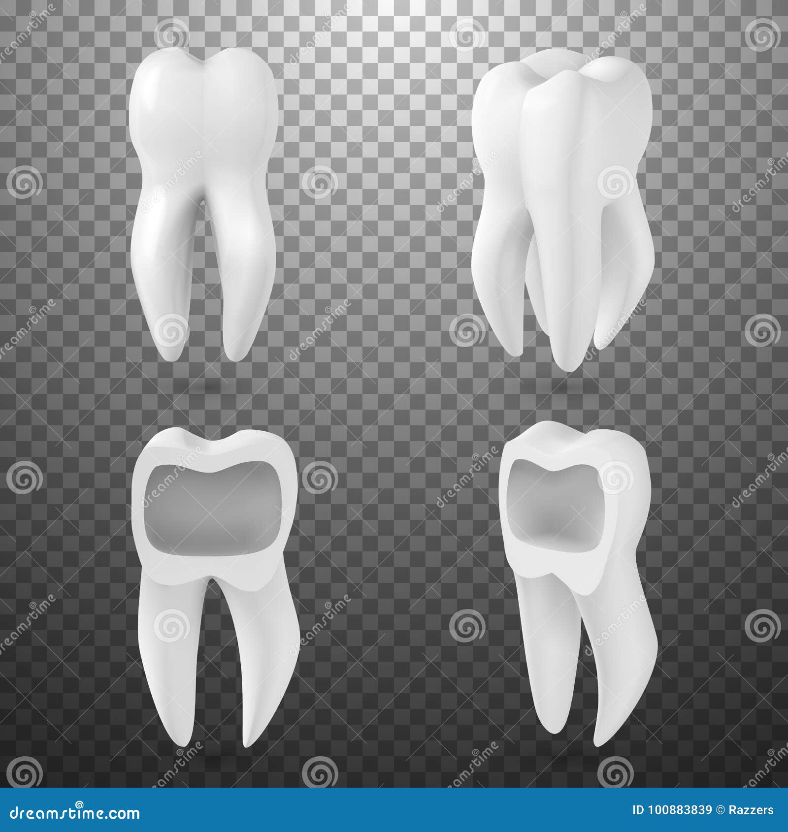 Vector Realistic 3D Tooth Set. Healthy Teeth Set Care Vector Product ...