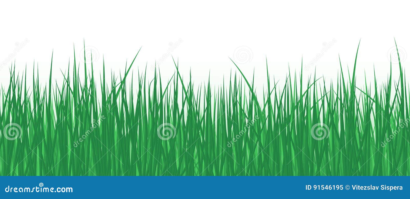 Vector Realistic Detailed Illustration Grass Seamless Pattern Isolated ...