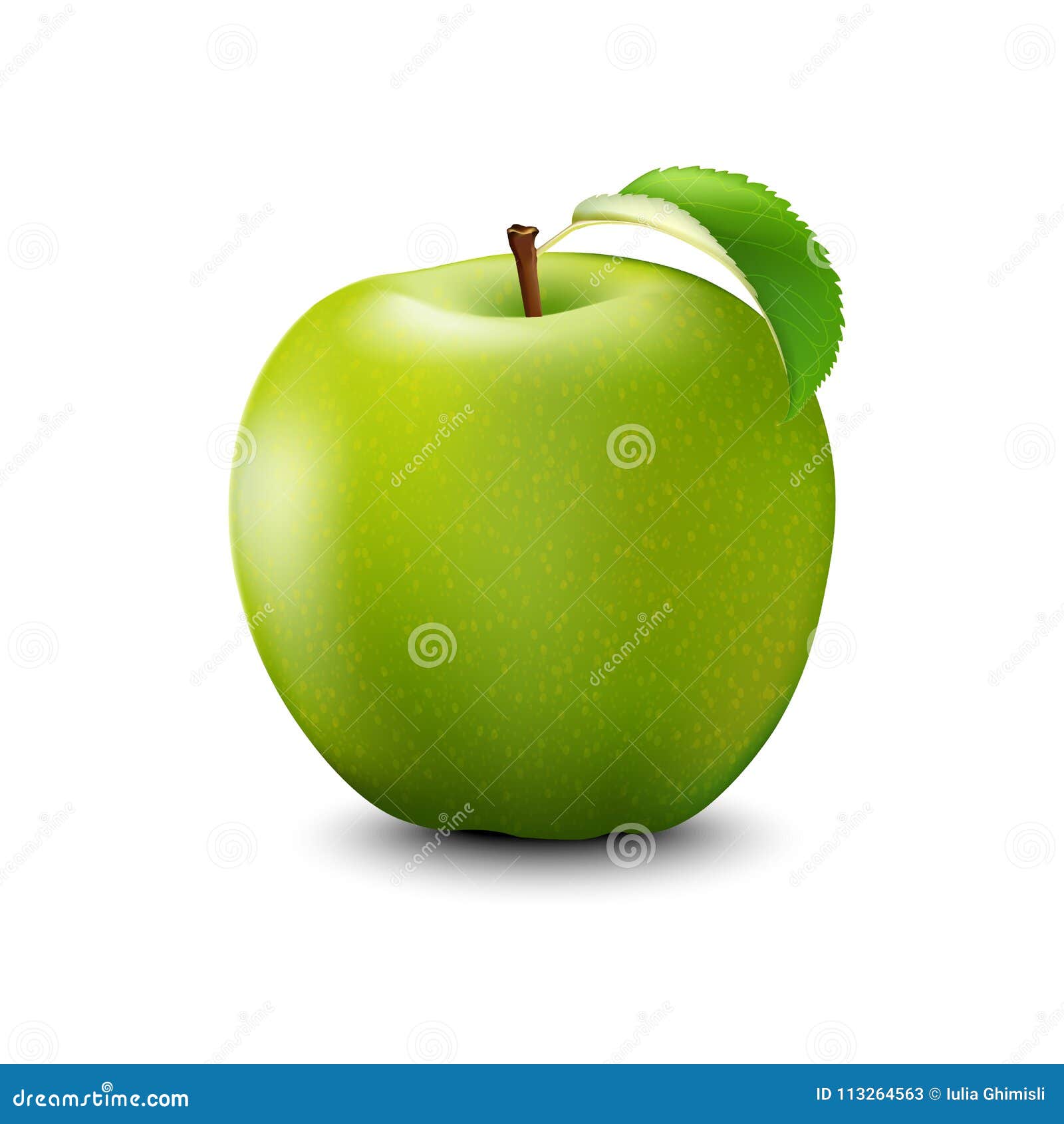 Vector Realistic Green Apple. Detailed 3d Illustration Isolated Stock ...