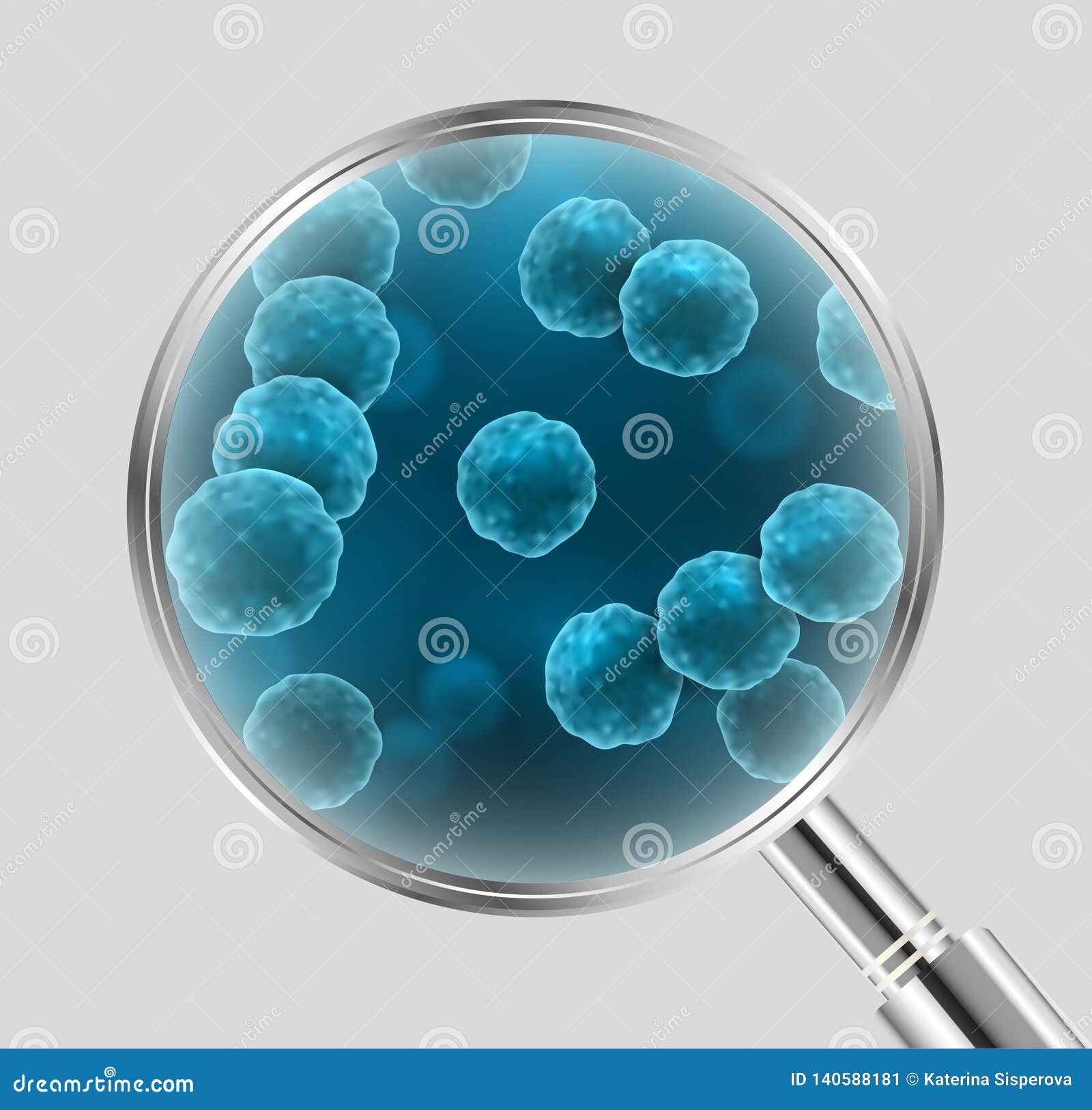 Vector Realistic Illustration of Blue Cocci Bacteria Cell Types Under ...