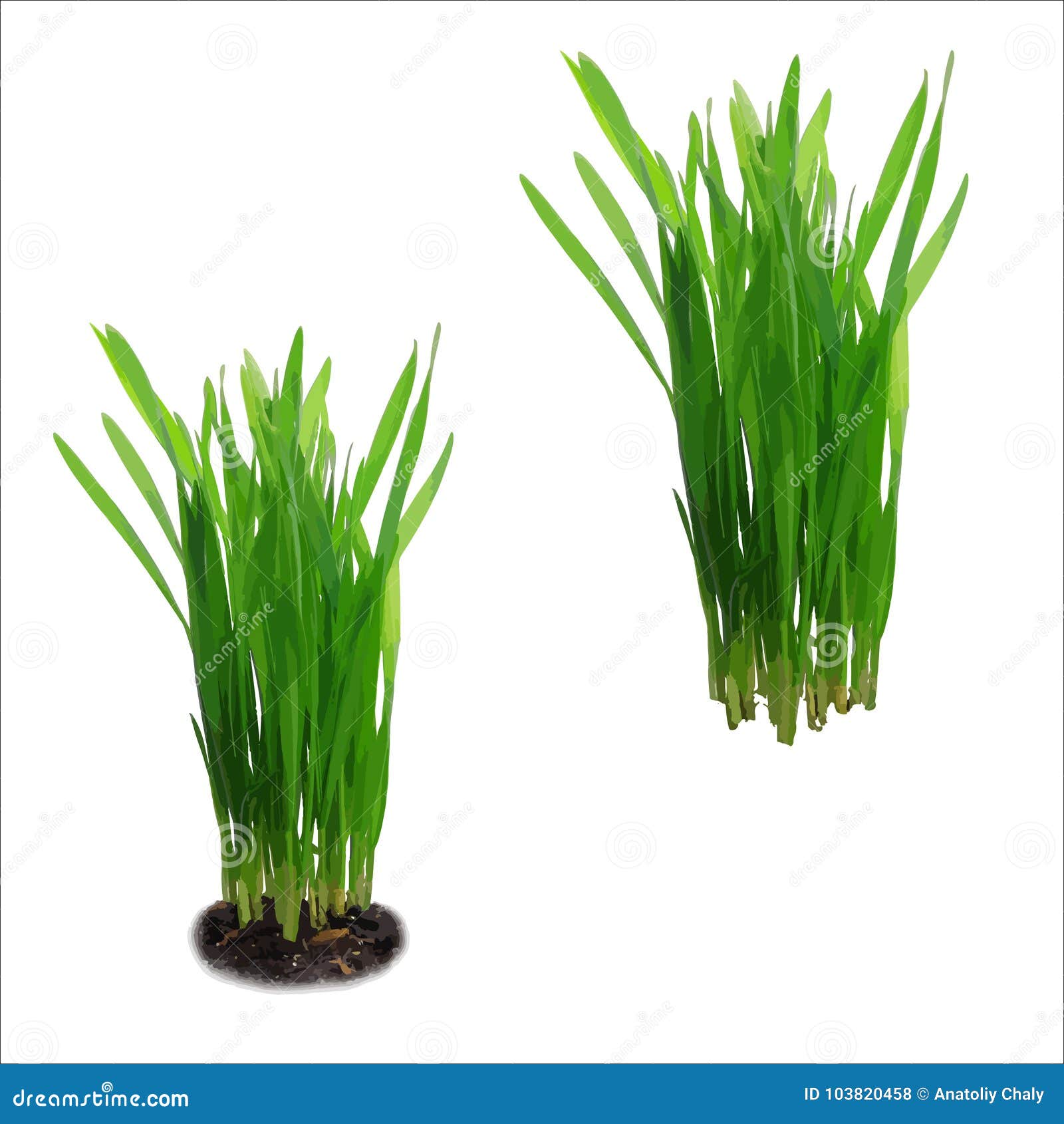 The Realistic Green Grass. Vector Stock Vector - Illustration of ...