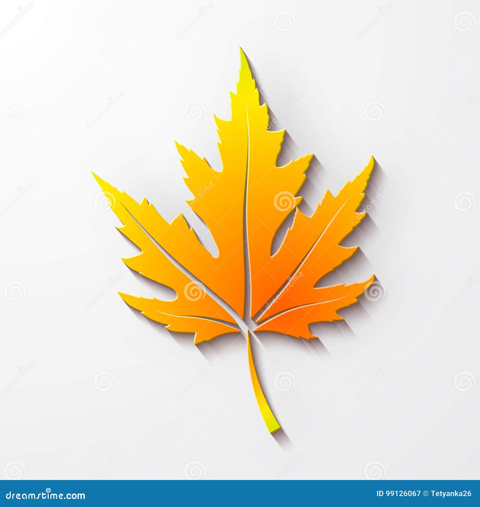 Vector Realistic Maple Leaf with Shadow on White Background Stock ...