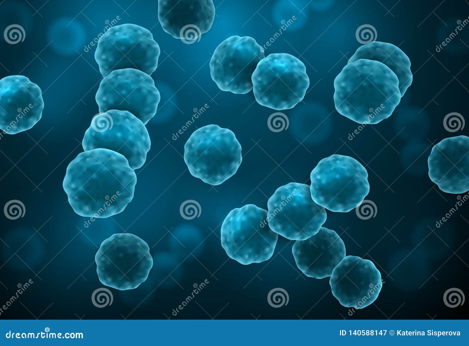 Cocci Bacteria Under Microscope