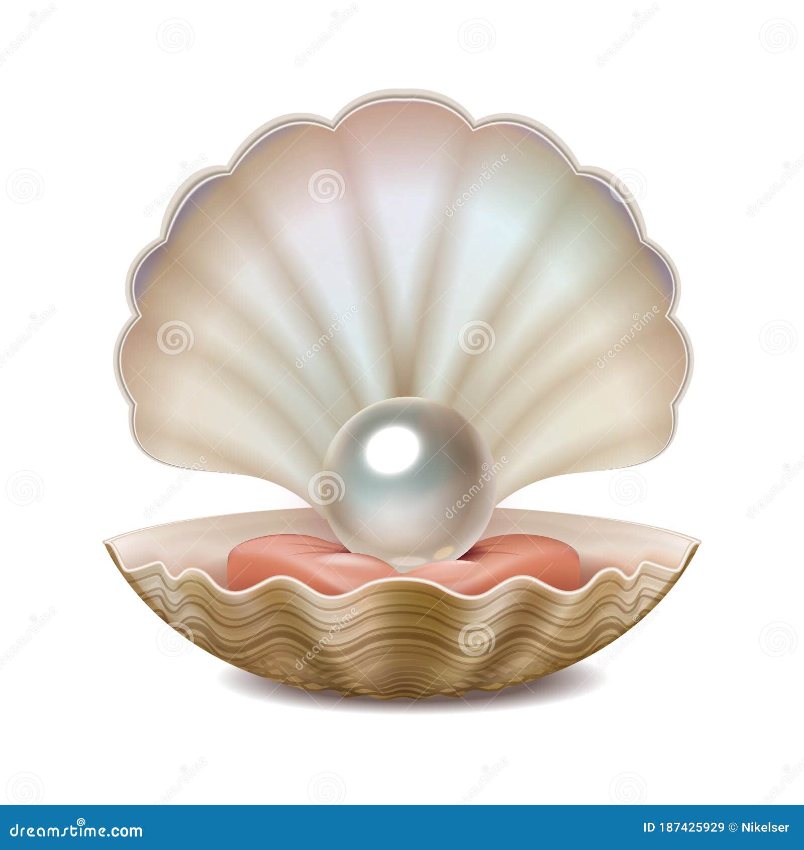 Vector Realistic Opened Shell with Shining Pearl Inside Isolated on ...