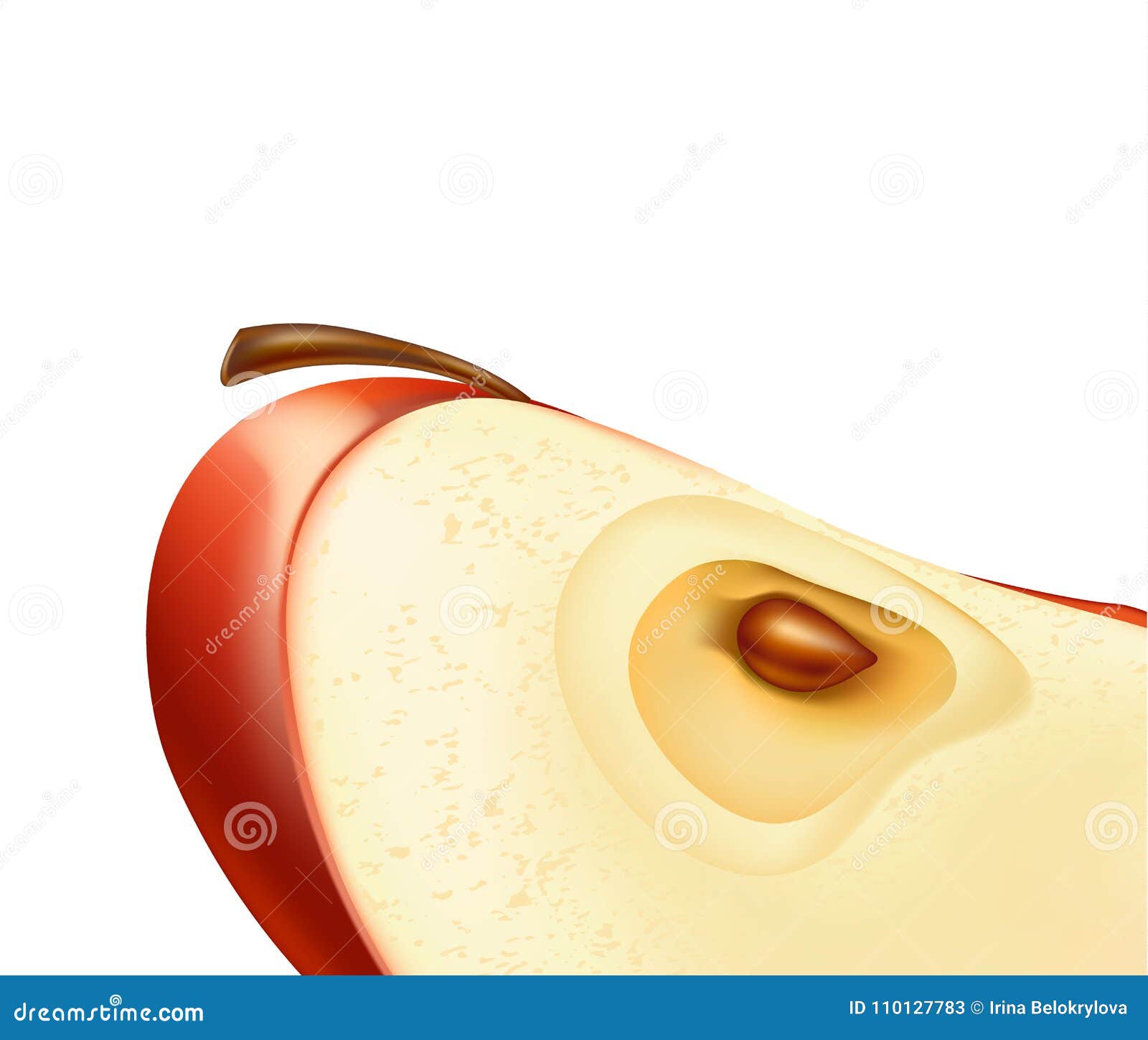 Vector Realistic Red Apple Fruit Slice 3d Closeup Stock Vector ... Vector Realistic Red Apple Fruit Slice 3d Closeup Stock Vector ...