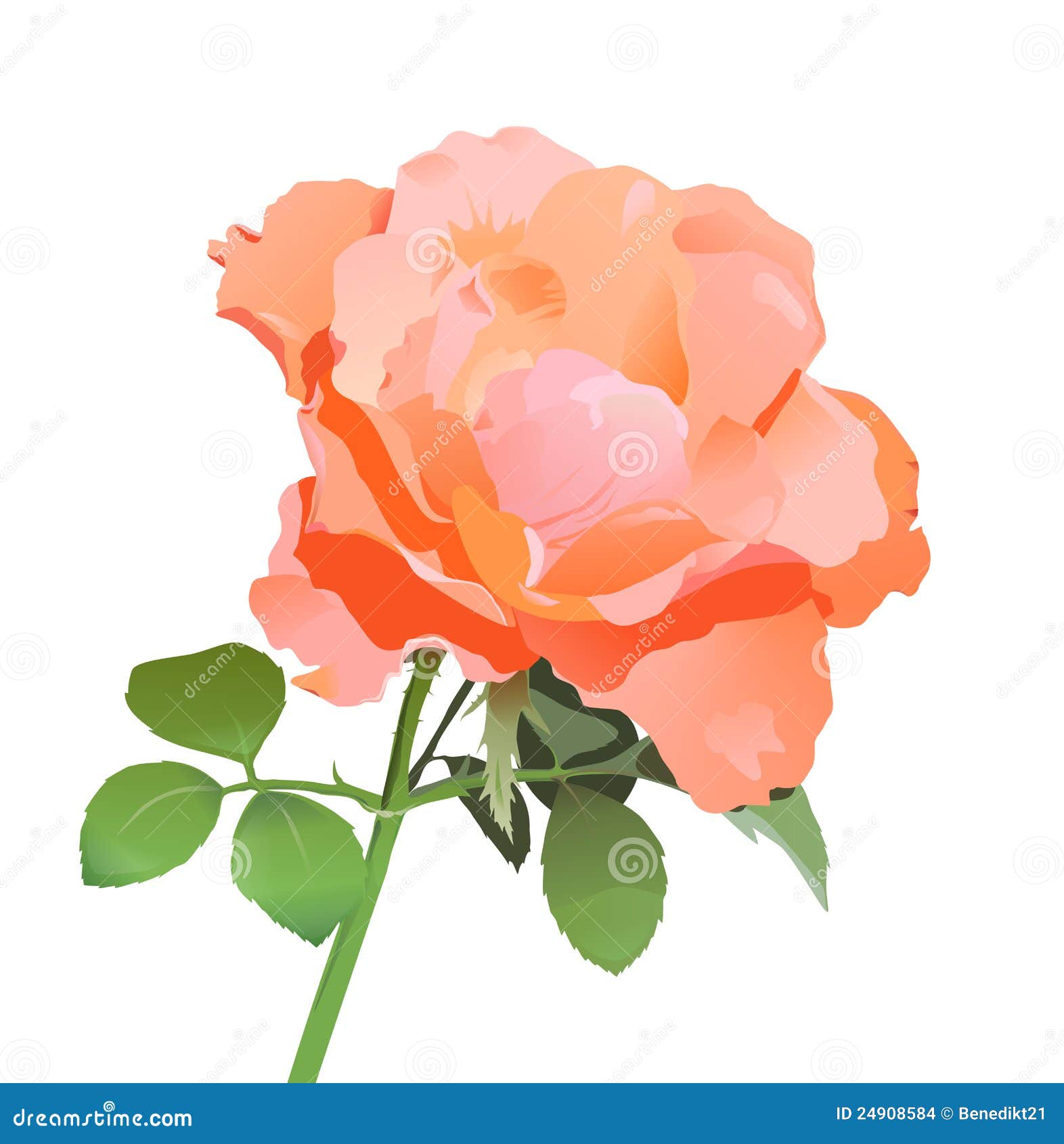 Vector realistic rose stock illustration. Illustration of gradient ...