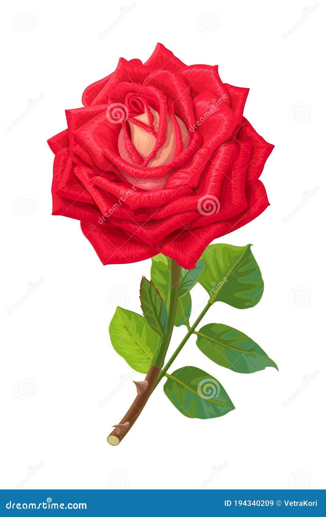 Vector Realistic Rose Flower Art Stock Vector - Illustration of beauty ...