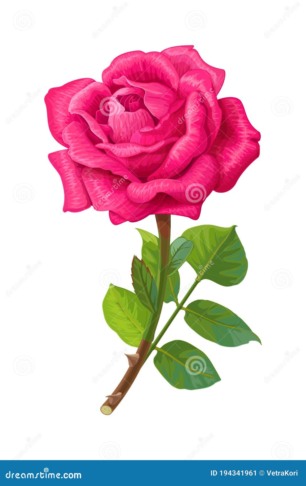 Vector Realistic Rose Flower Art Stock Vector - Illustration of ...