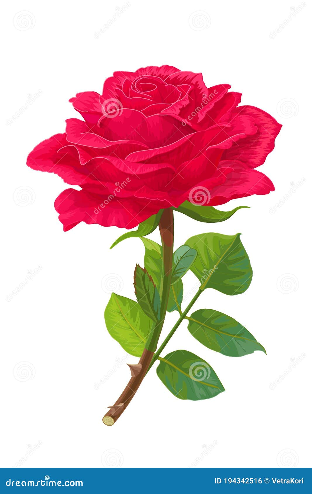 Vector Realistic Rose Flower Art Stock Vector - Illustration of icon ...