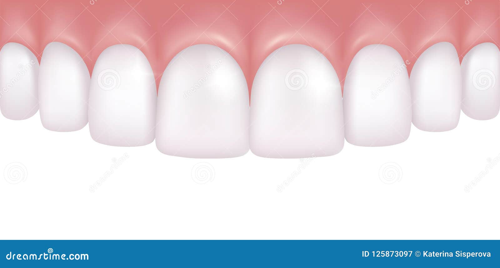 Vector Realistic Row of White and Atraight Upper Teeth - Dentist Stock ...