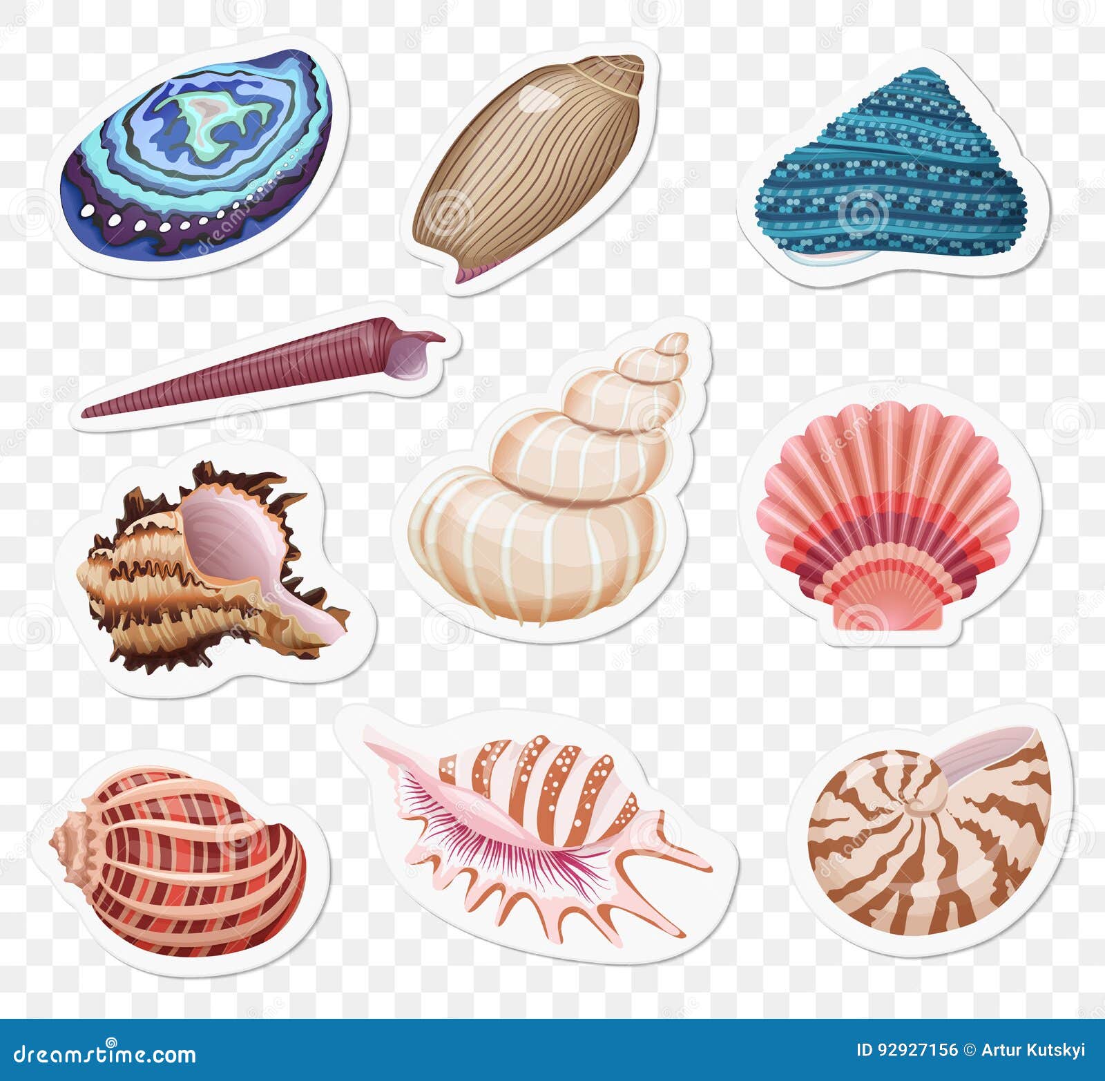 Vector Realistic Sea Shells Stickers Sset On The Transperant Alpha ...