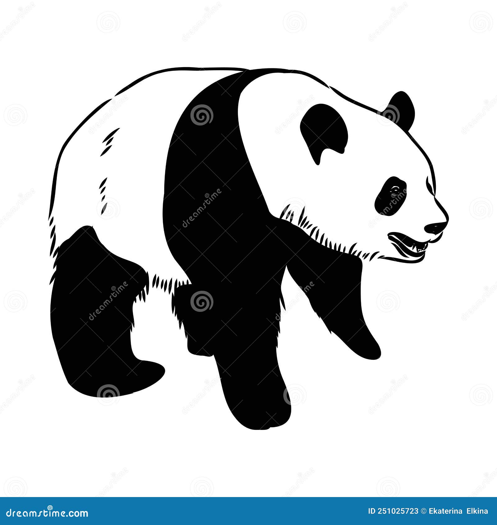 Vector Realistic Sketch of Panda Figure in Full-length, Hand Drawn ...