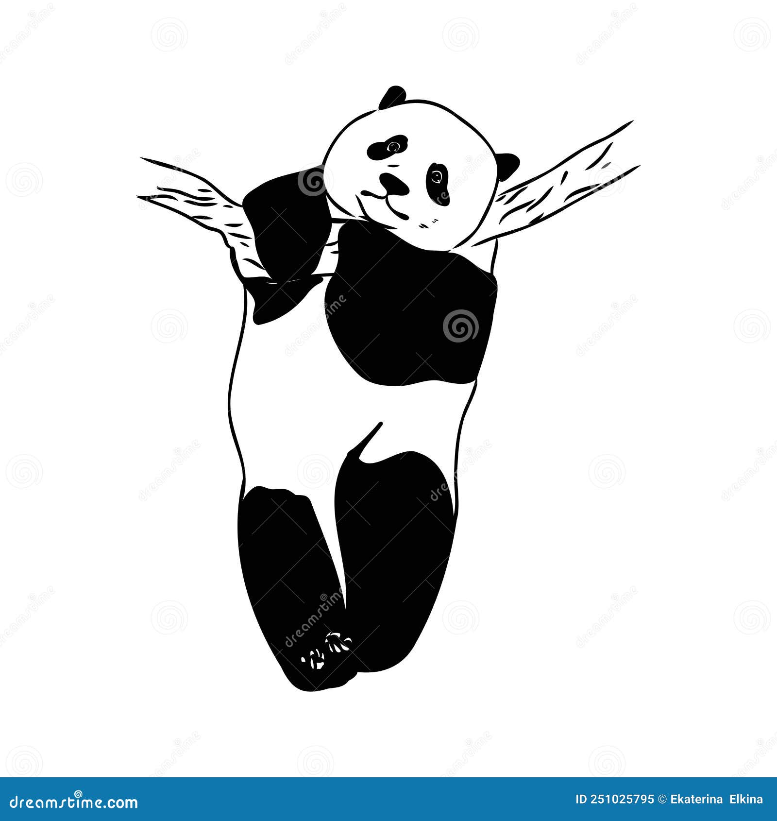 Vector Realistic Sketch of Panda Figure in Full-length, Hand Drawn ...