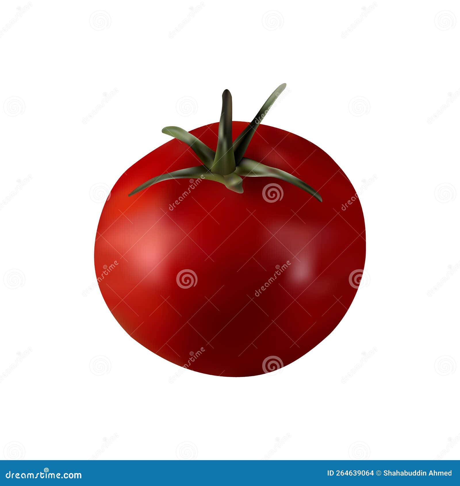 Vector Realistic Tomato. Eps Vector Stock Illustration - Illustration ...