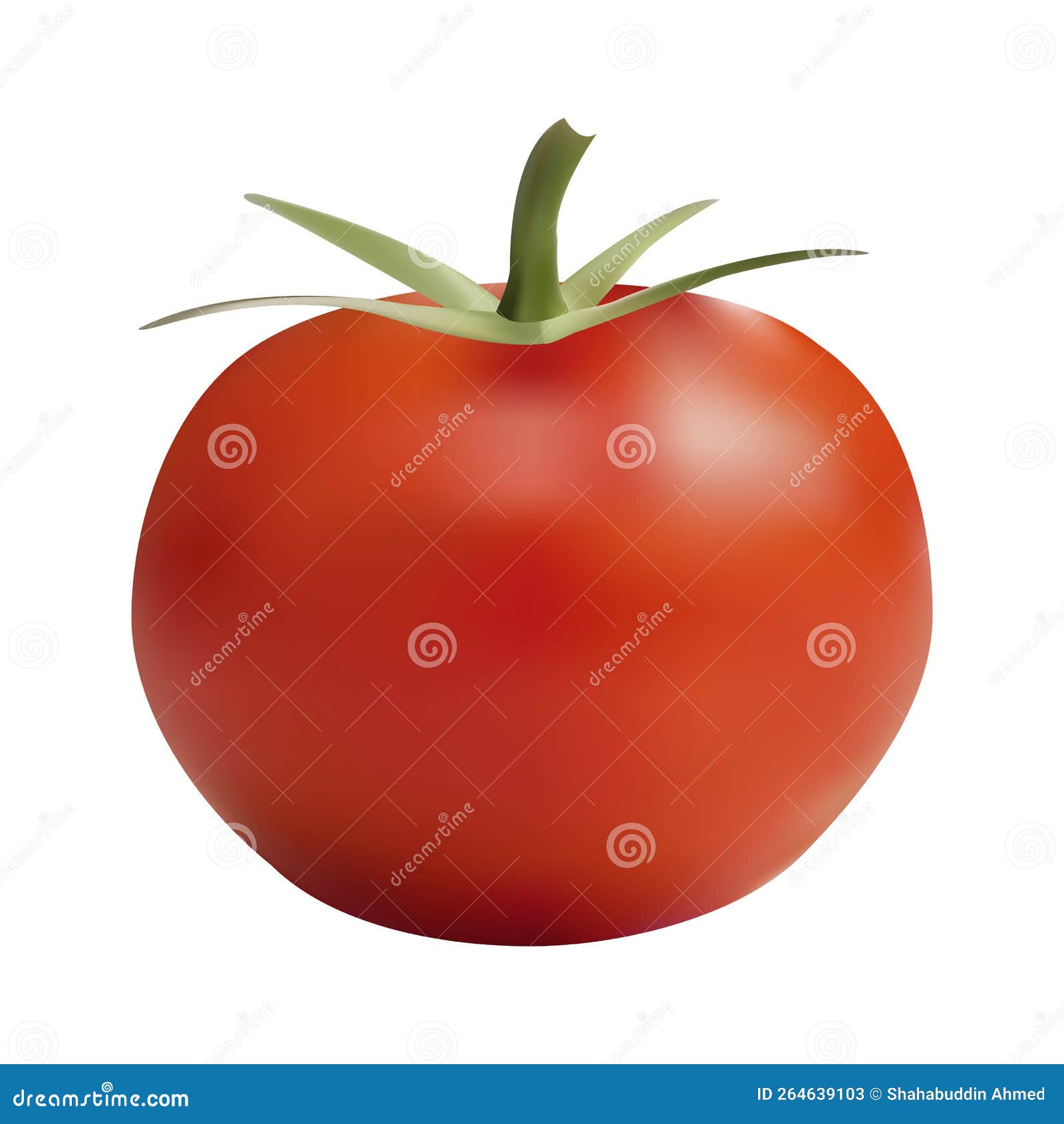 Vector Realistic Tomato. Eps Vector Stock Vector - Illustration of ...