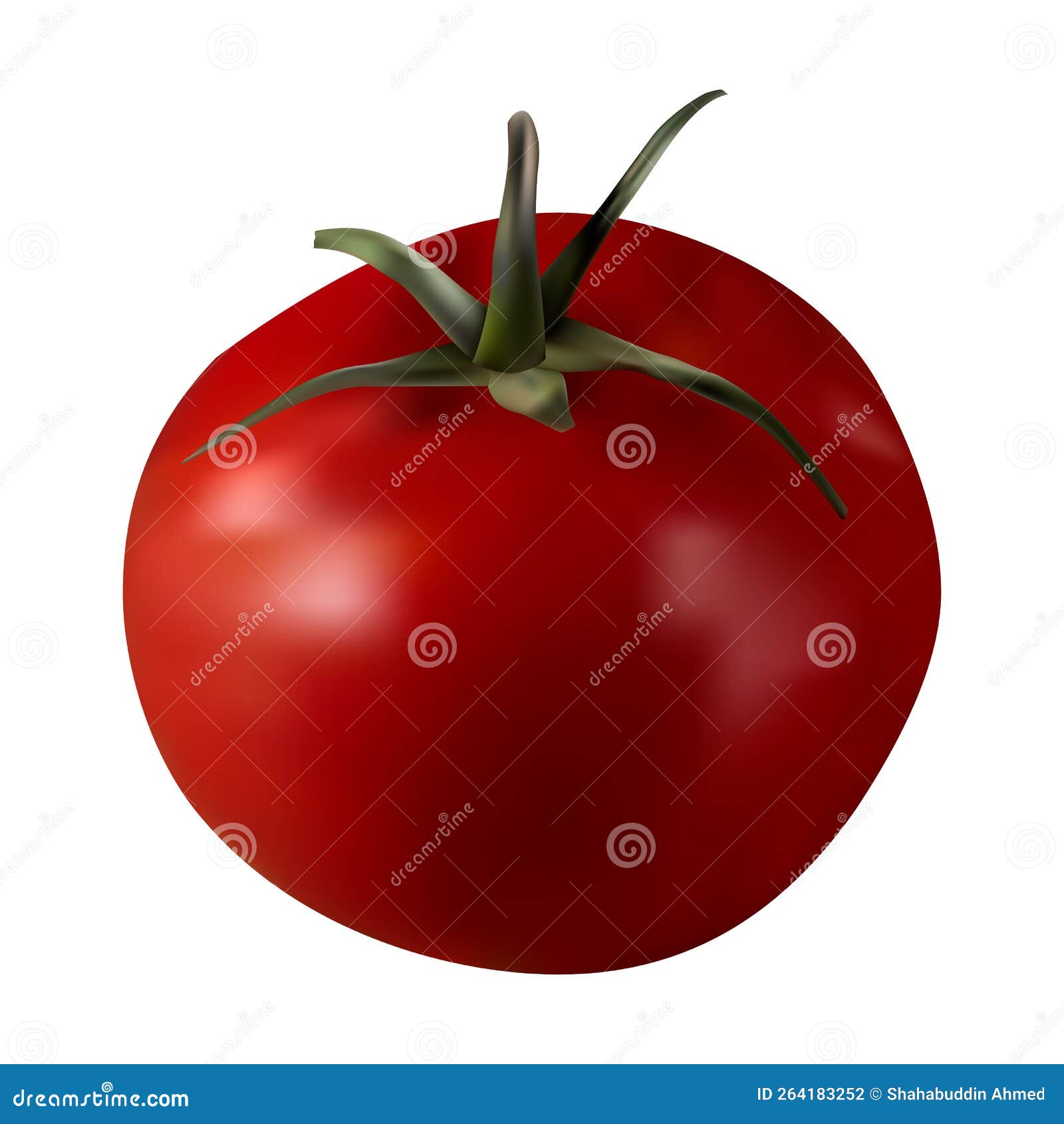 Vector Realistic Tomato. Eps Vector Stock Vector - Illustration of ...