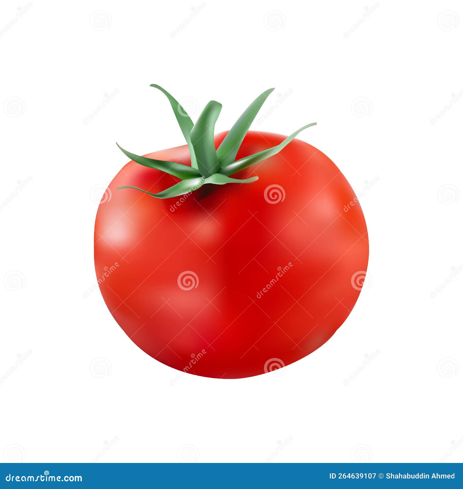 Vector Realistic Tomato. Eps Vector Stock Vector - Illustration of ...