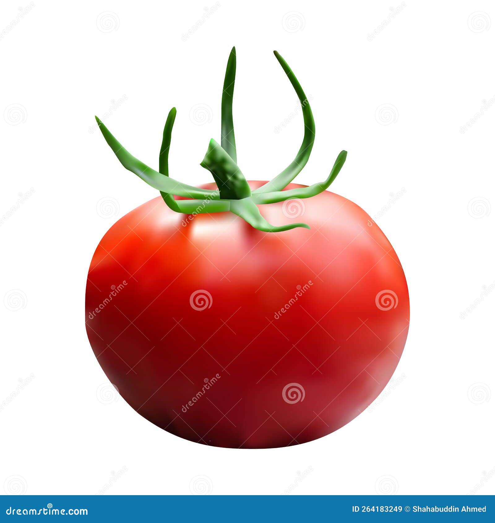 Vector Realistic Tomato. Eps Vector Stock Vector - Illustration of ...