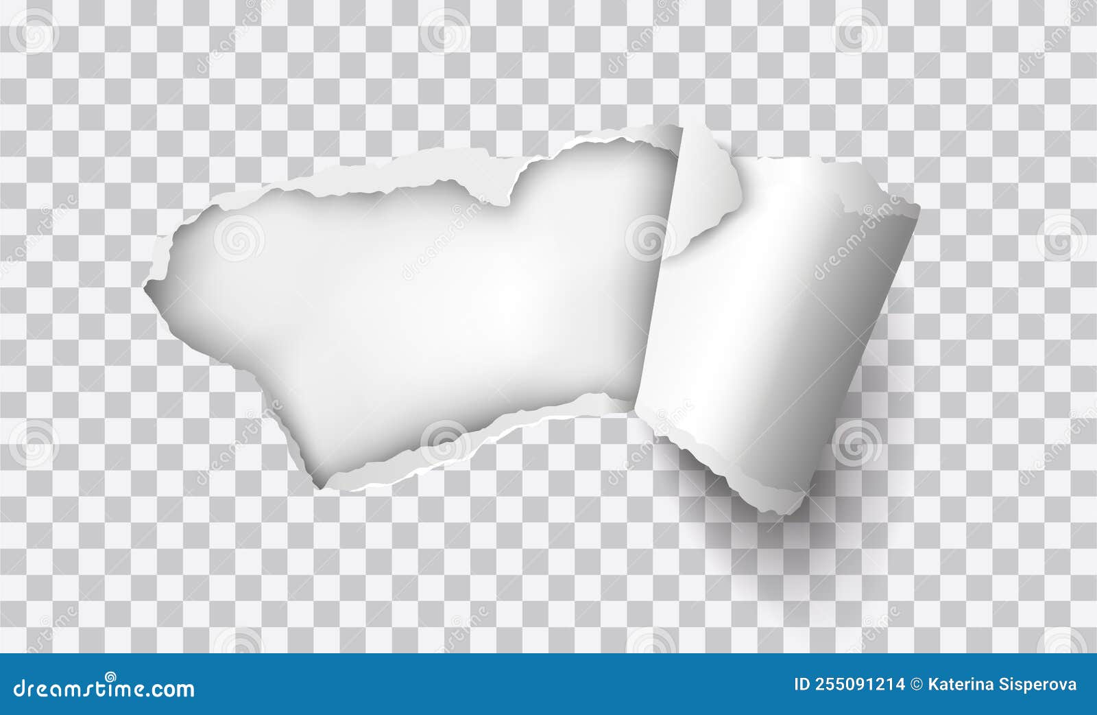 Vector Realistic Torn Paper with Rolled Edge on Transparent Background ...