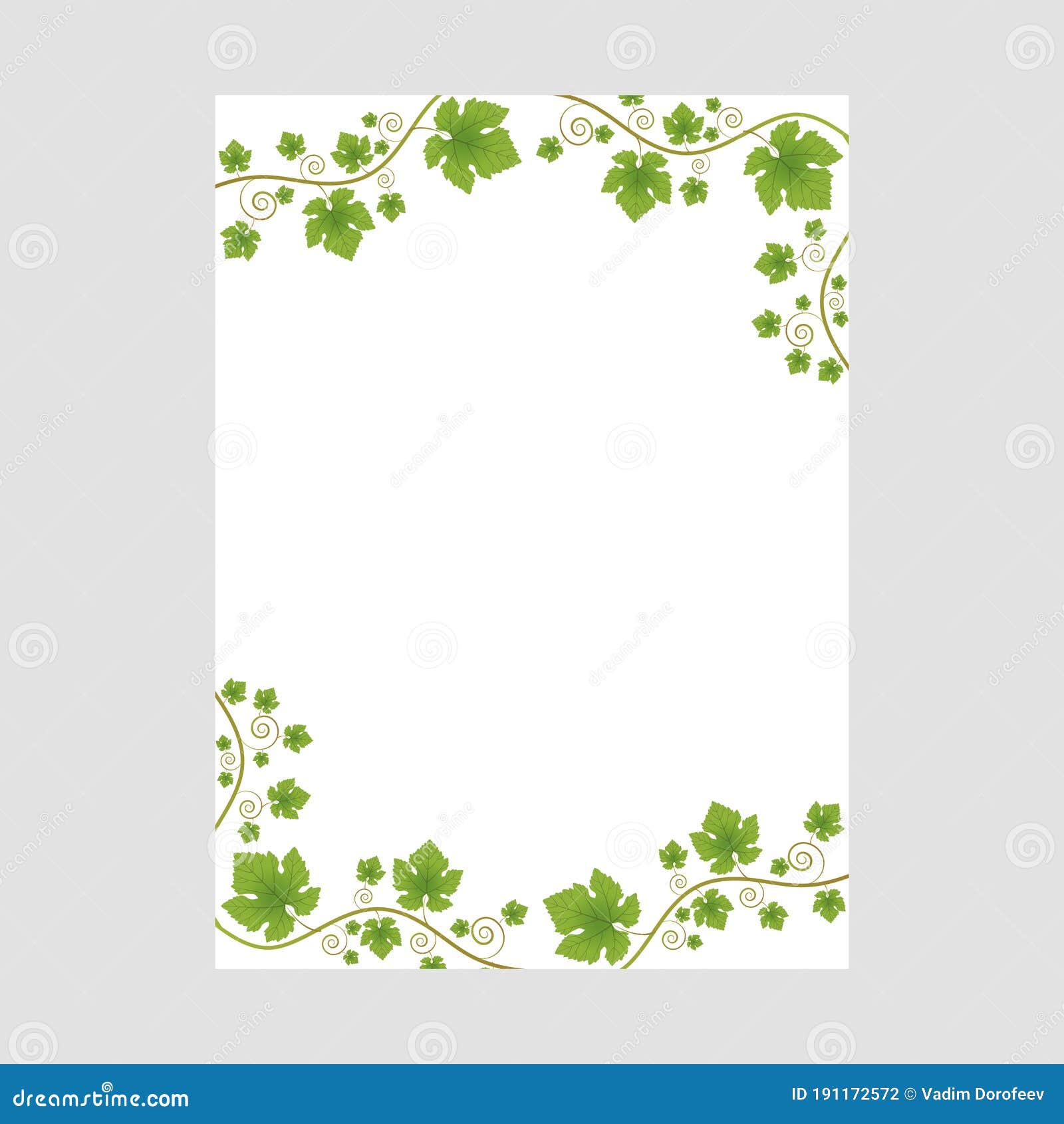 Vector Rectangular Frame Decorated with Vine Leaves. White Background ...