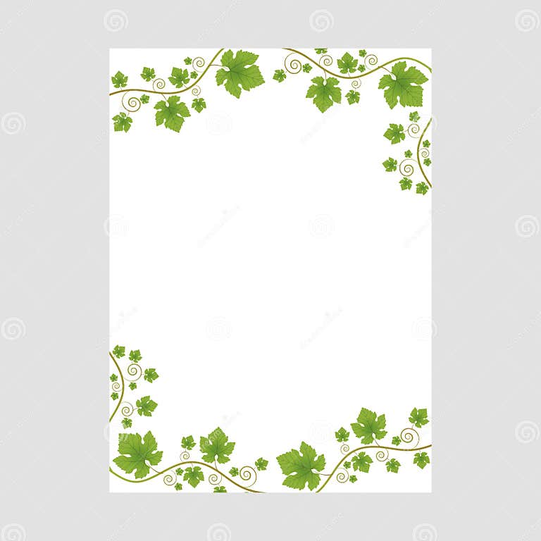 Vector Rectangular Frame Decorated with Vine Leaves. White Background ...