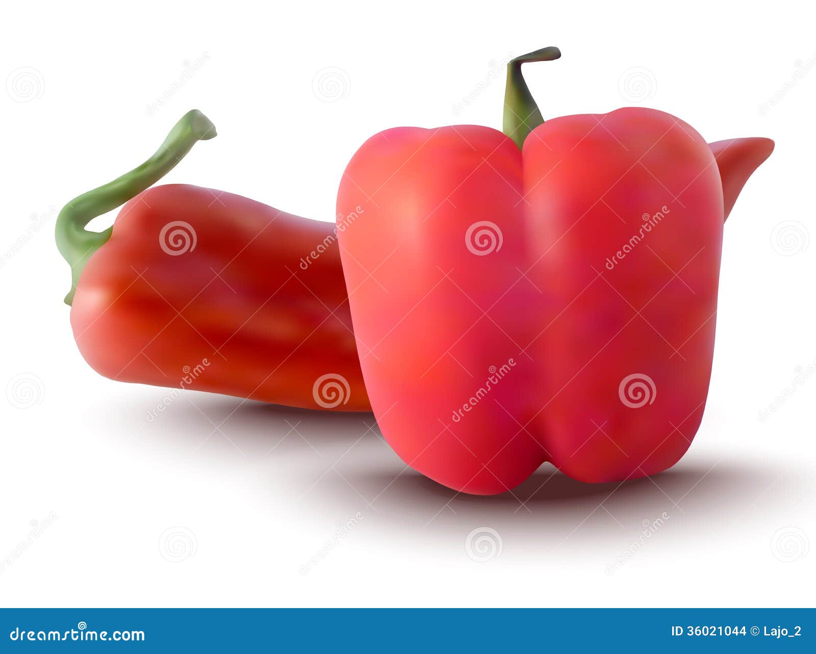 Vector red peppers stock vector. Illustration of cooking - 36021044