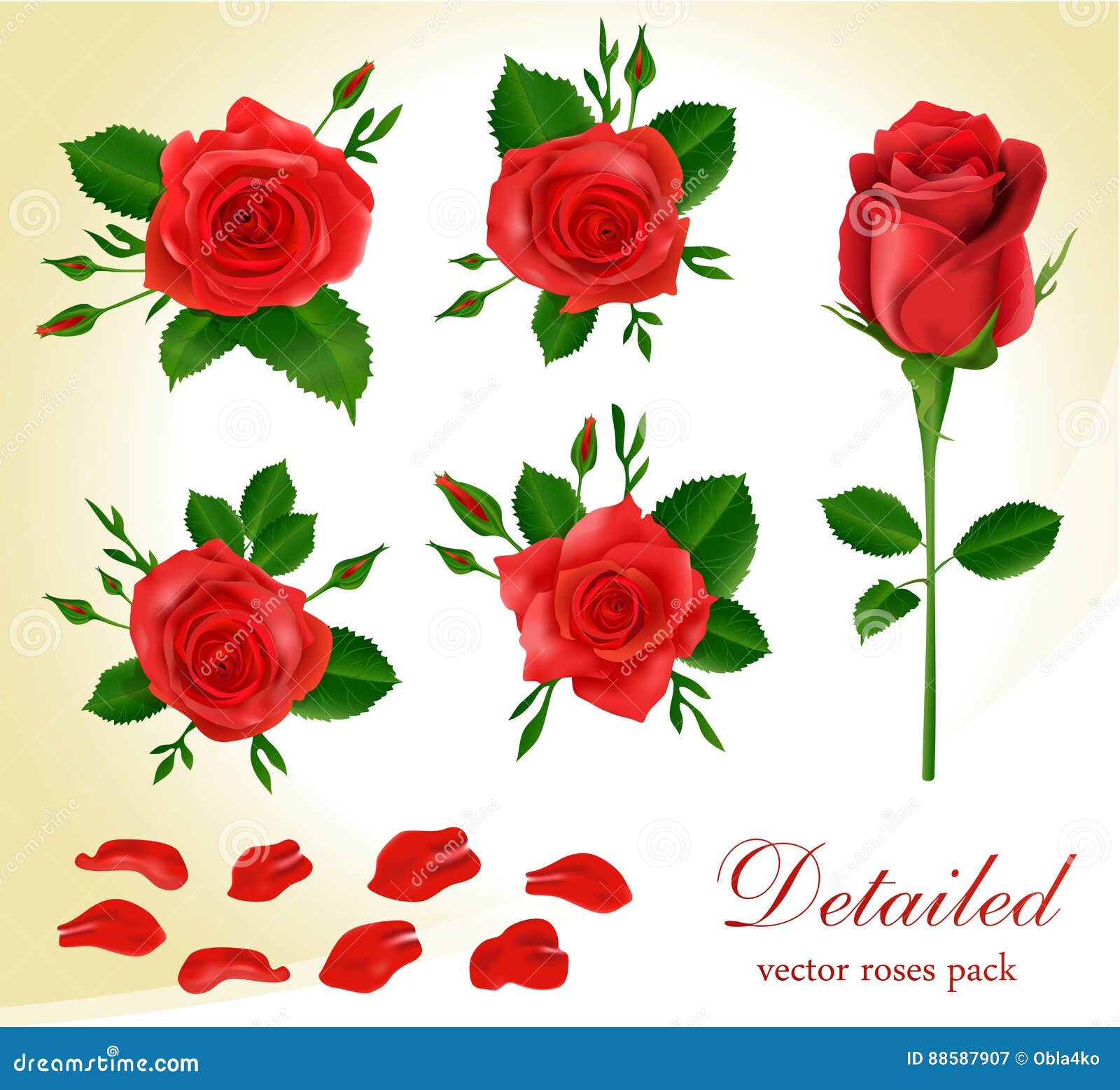 Vector red roses stock vector. Illustration of gift, beauty - 88587907