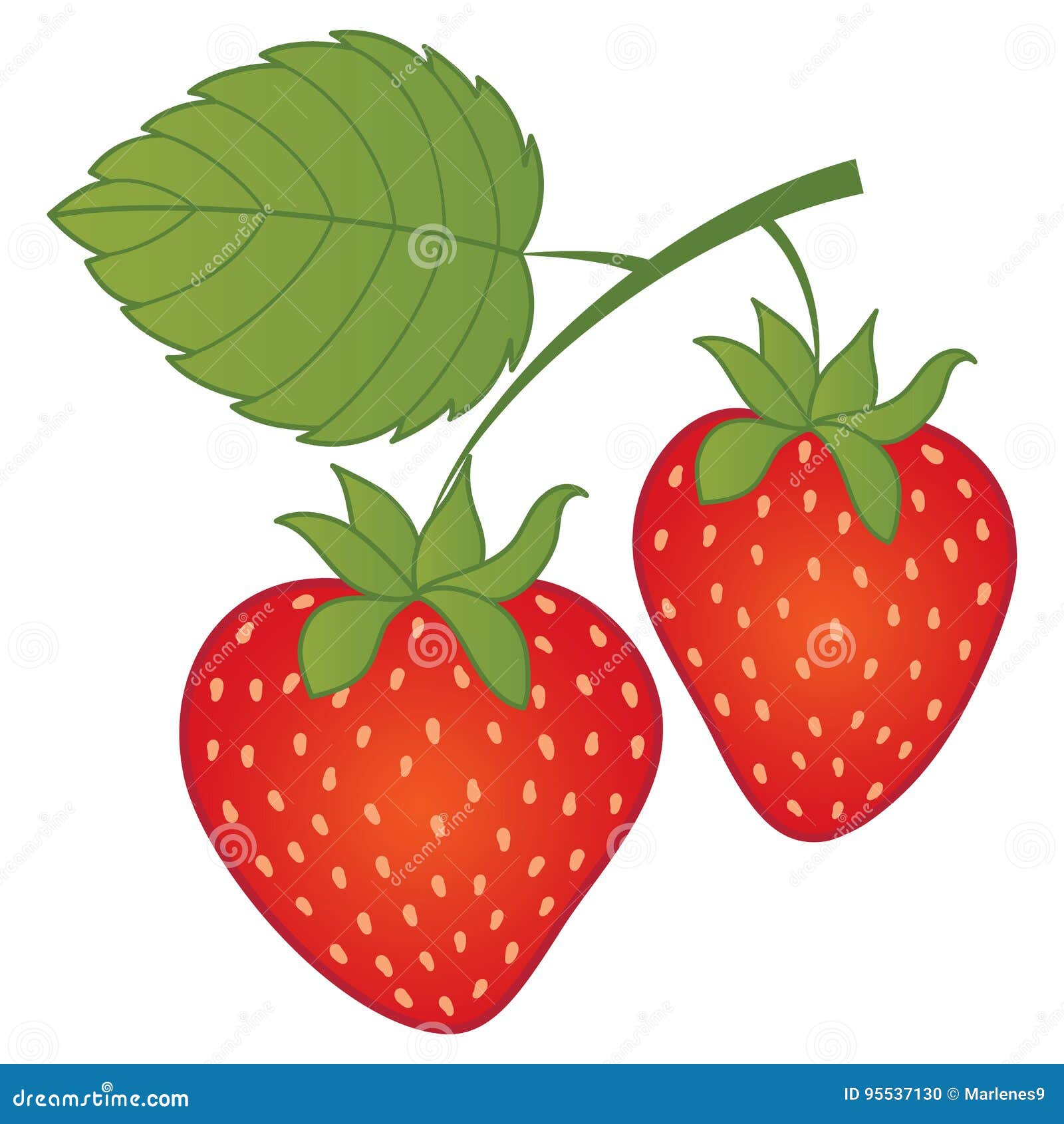 Vector Red Strawberries. Vector Strawberry Stock Vector - Illustration ...