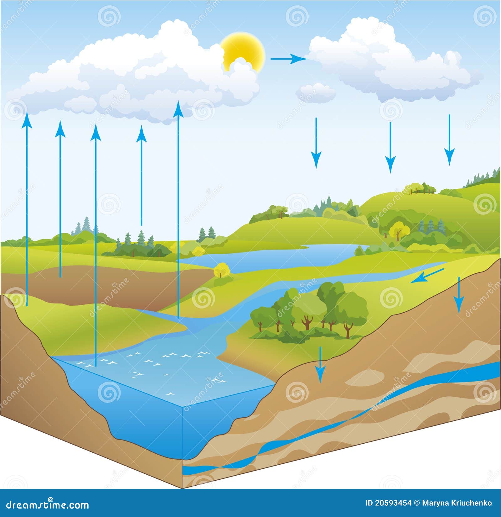 Vector Regeling Van De Watercyclus in Aard Vector Illustratie ...