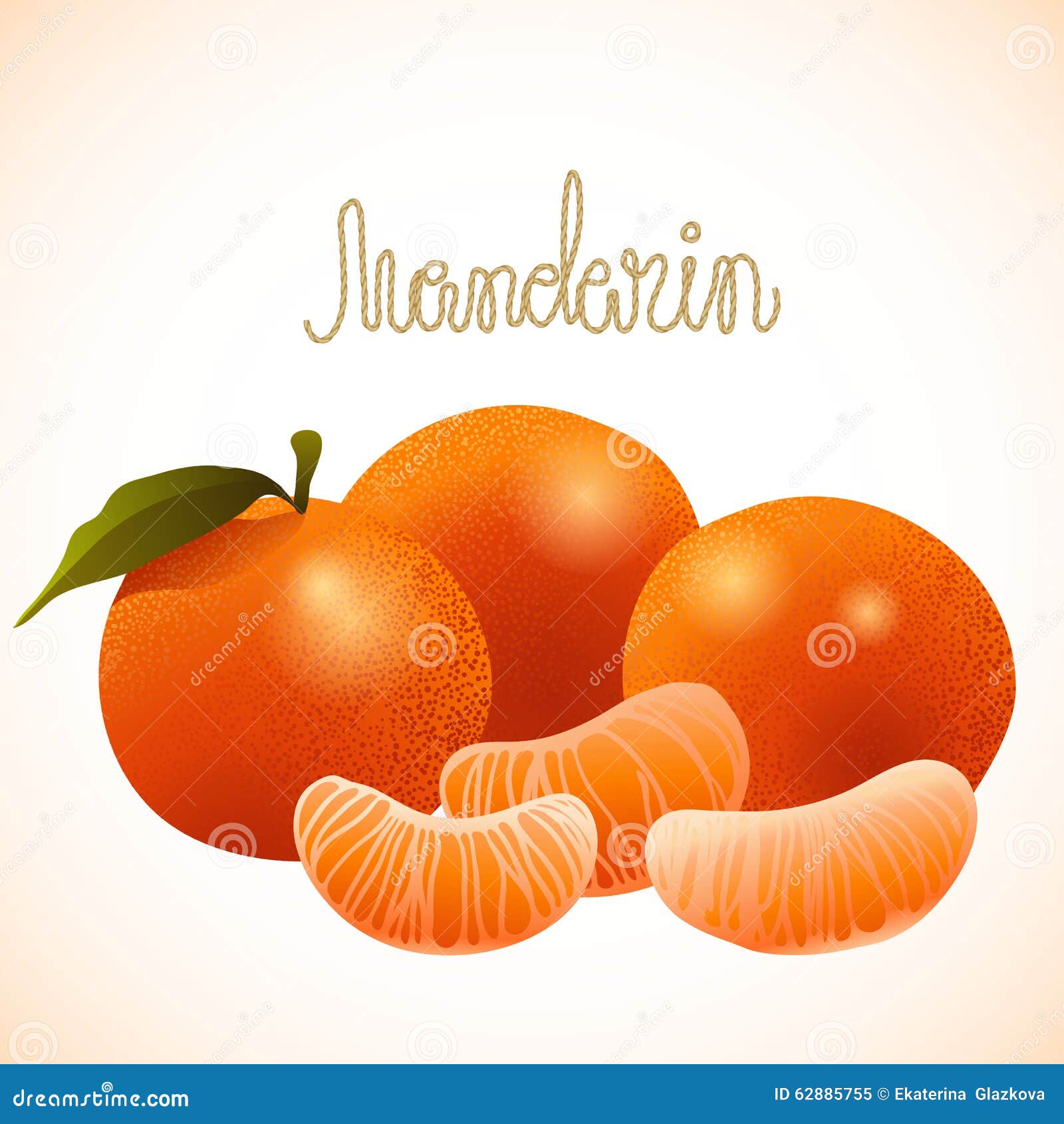 Vector ripe mandarin stock vector. Illustration of decoration - 62885755