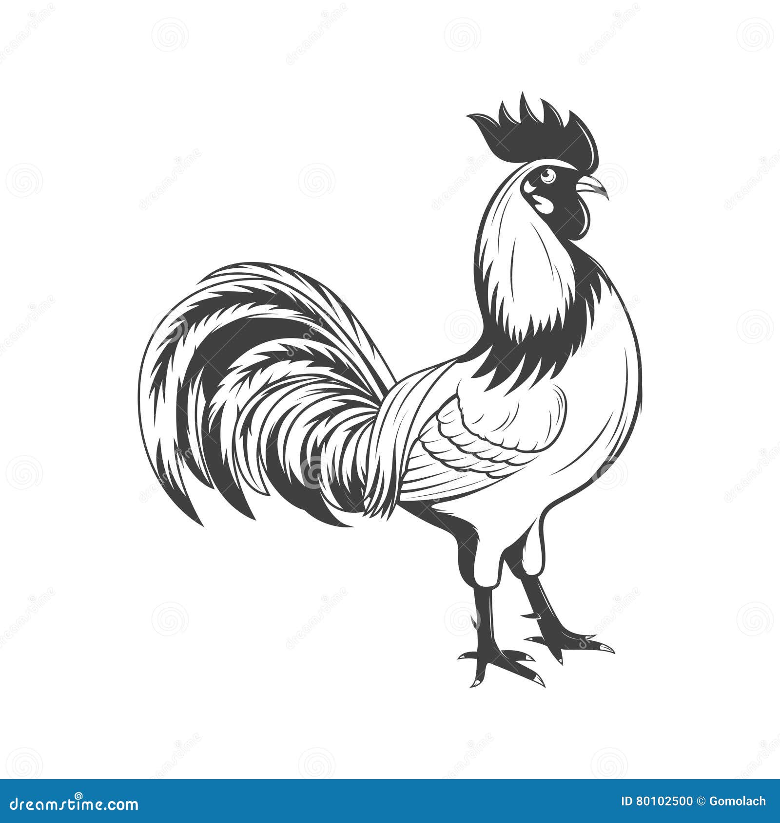 Vector Rooster, Symbol of 2017. Stock Vector - Illustration of scetch ...