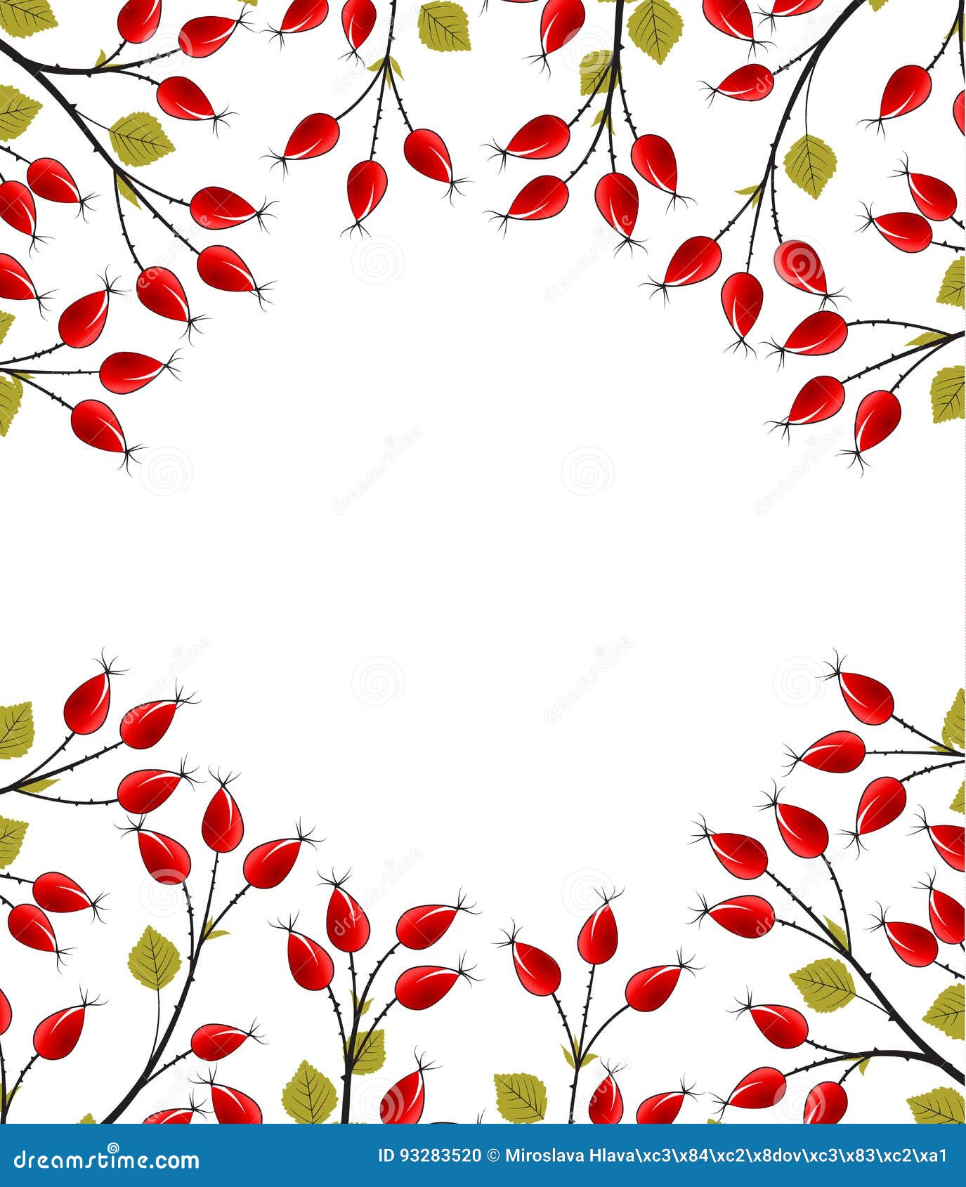 Vector rose hip stock vector. Illustration of drawing - 93283520
