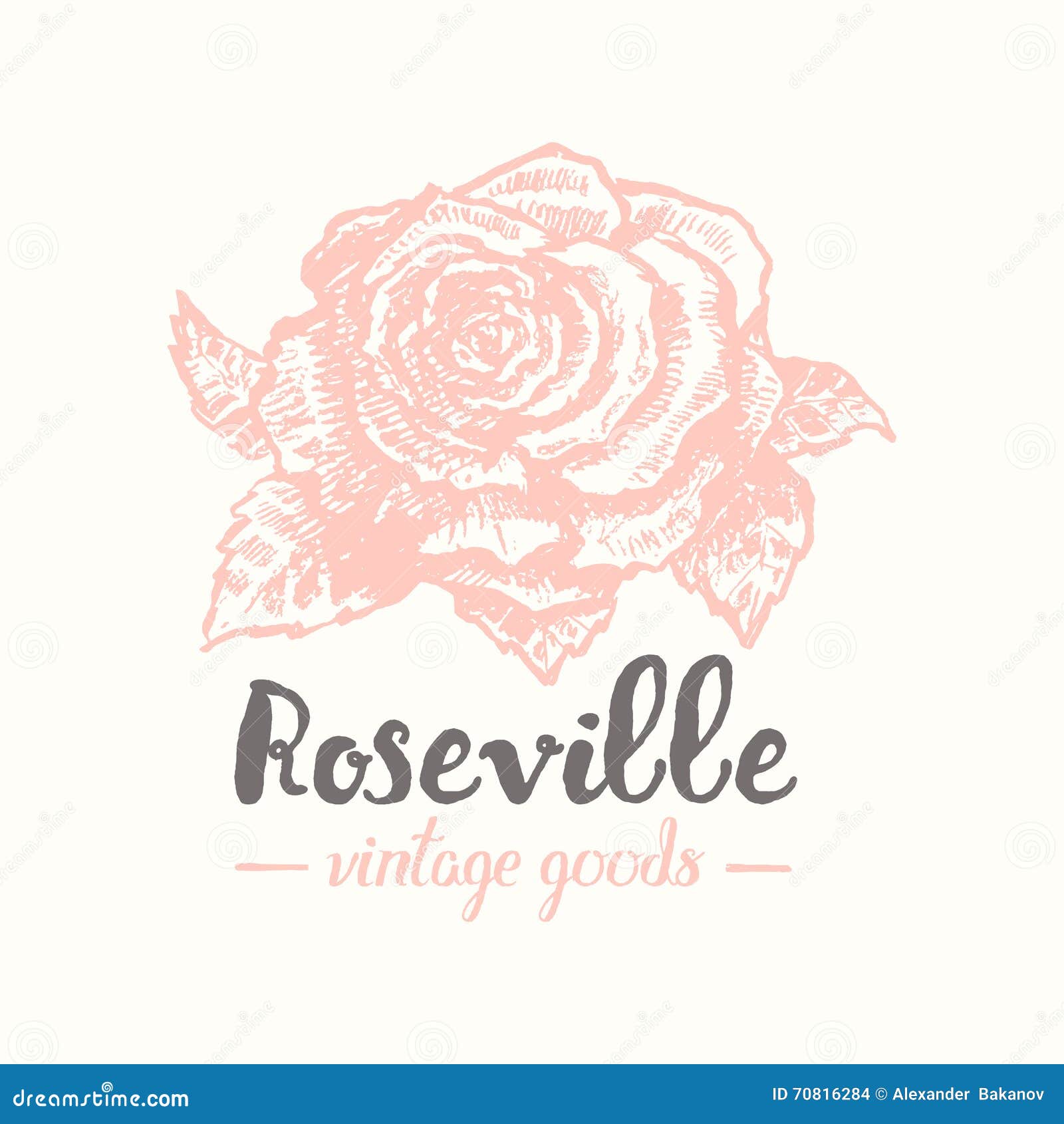 Vector Rose Label Sketch Art Stock Vector - Illustration of isolated ...