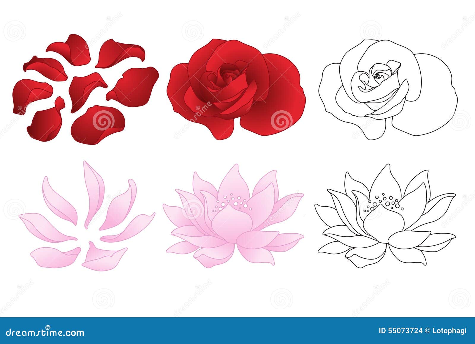 Vector Rose Lotus Stock Illustrations – 4,617 Vector Rose Lotus Stock ...