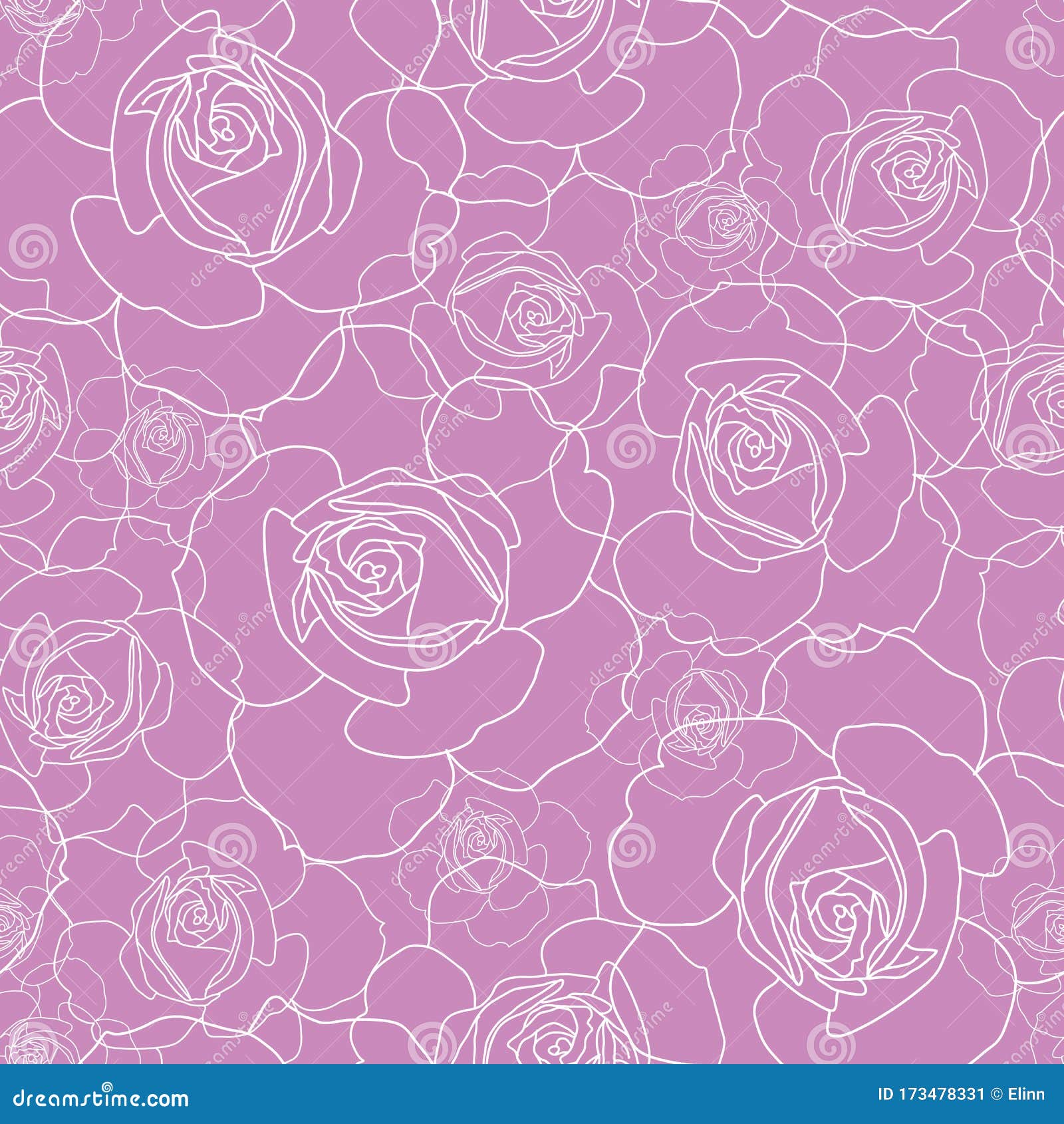 Two Roses Outline, Silhouette, Vector Illustration, Black And White ...