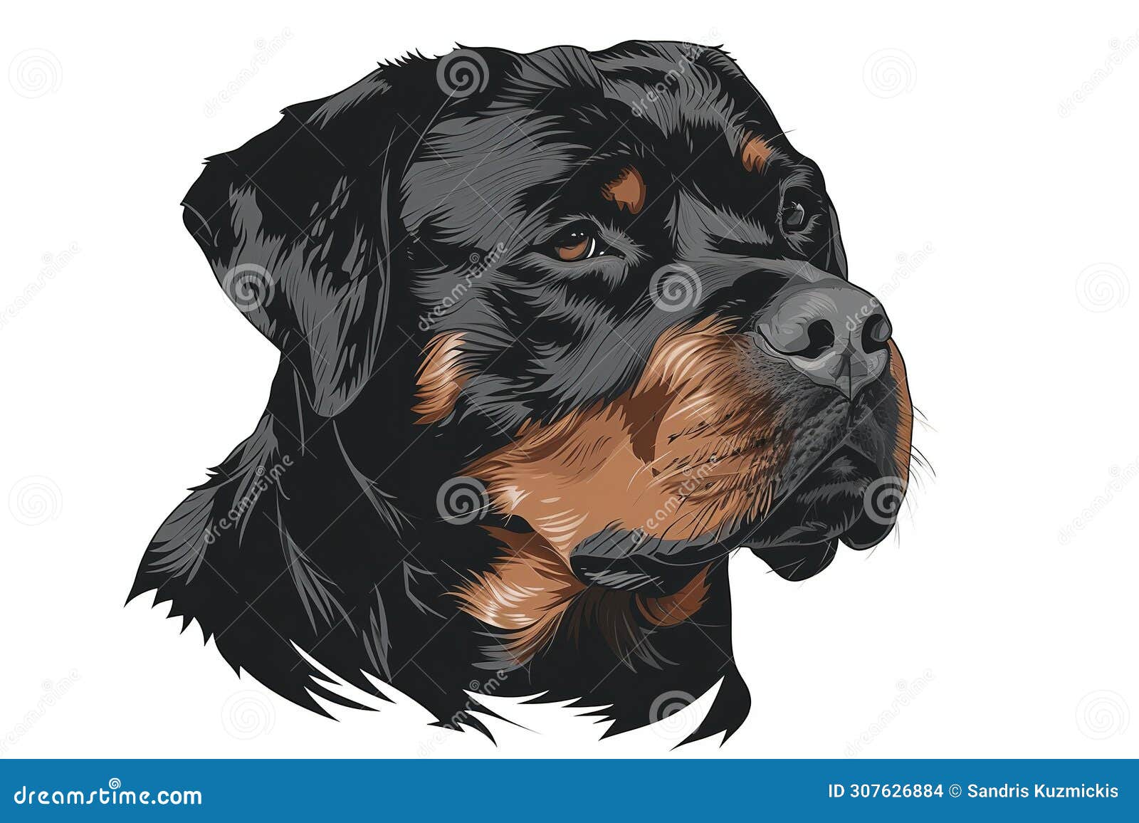 Rottweiler Head, Vector Portrait With One Continuous Line ...